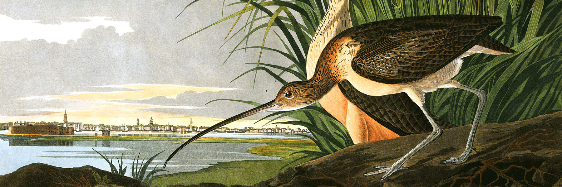 John James Audubon – THE DYBDAHL CO.