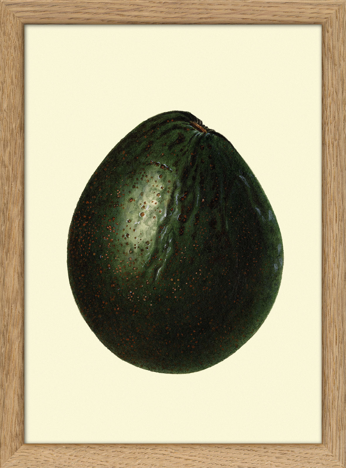 Avocado Closed Close Up. Mini Print – THE DYBDAHL CO.